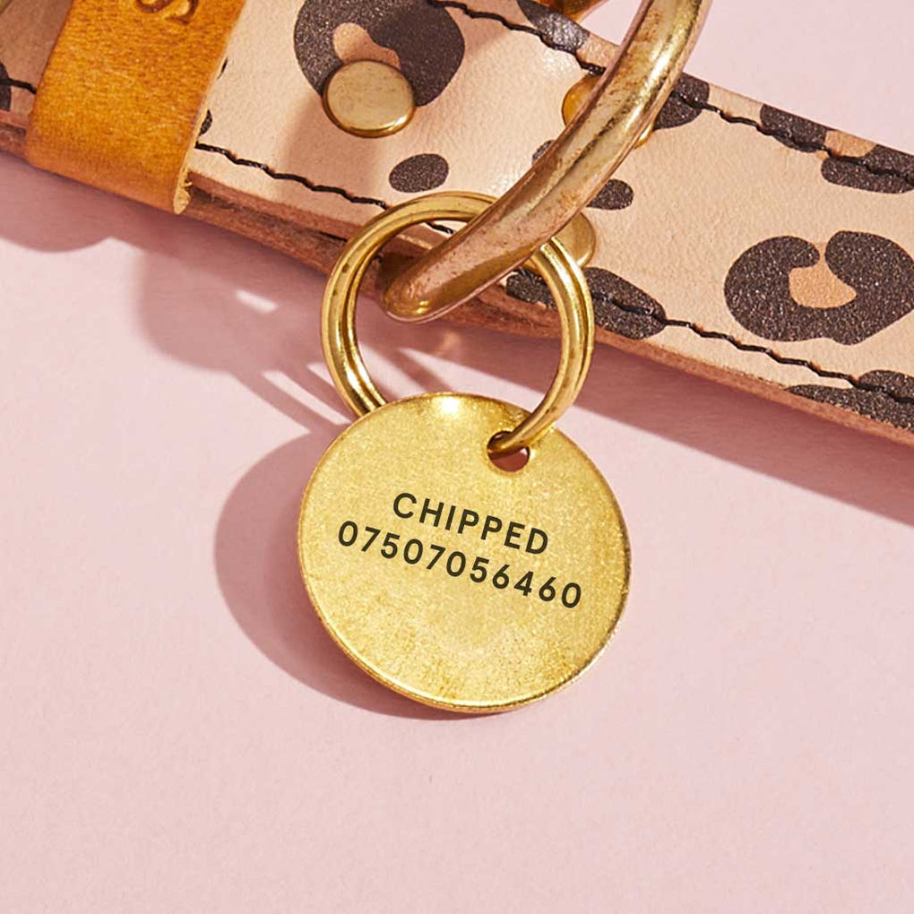 Personalised Leather Dog Owner Accessories | Sbri