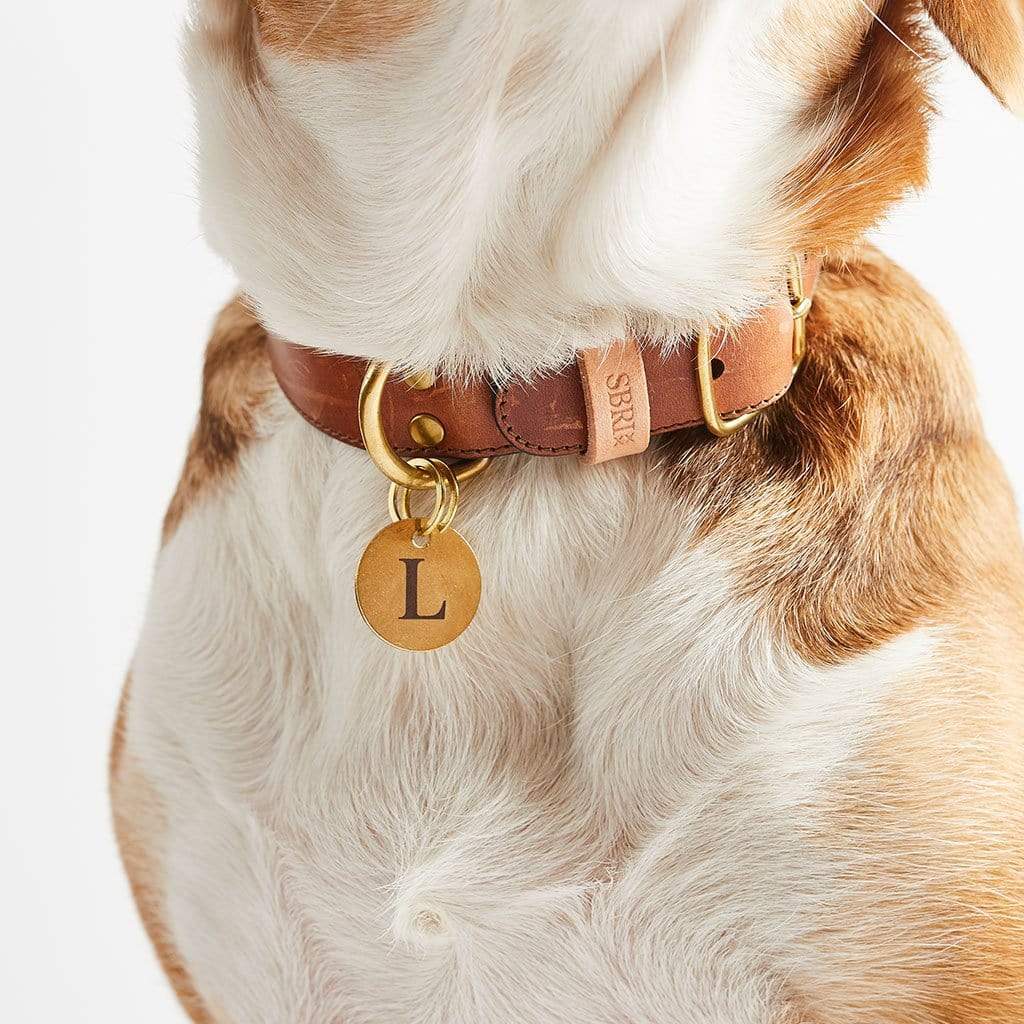Luxury Brass Personalised Dog ID Tag | Sbri