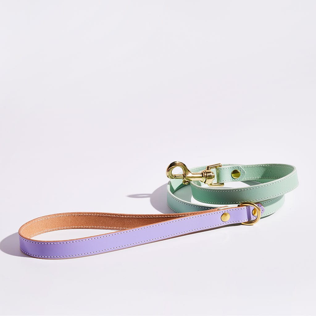 Luxury Leather Dog Lead | Sbri